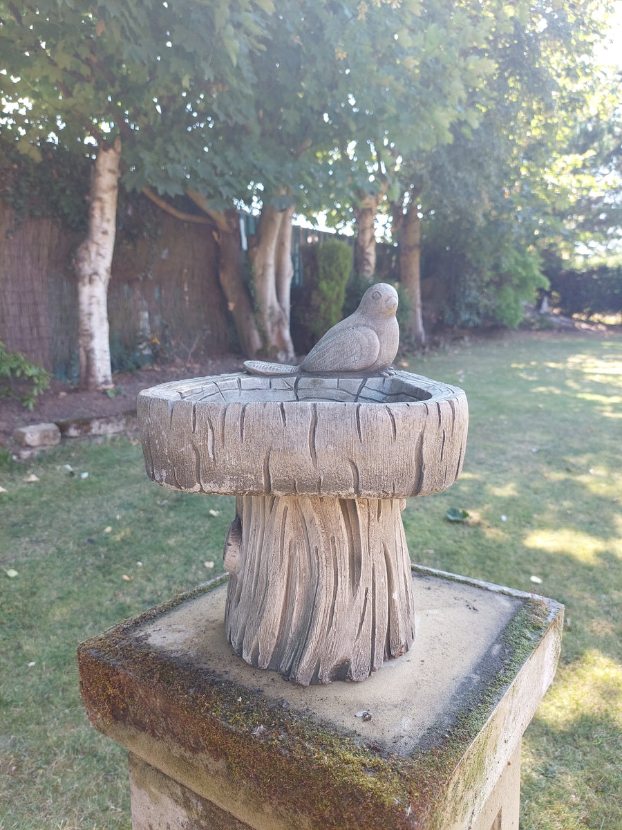 Bird On Log Bird Bath – Bow Garden Centre