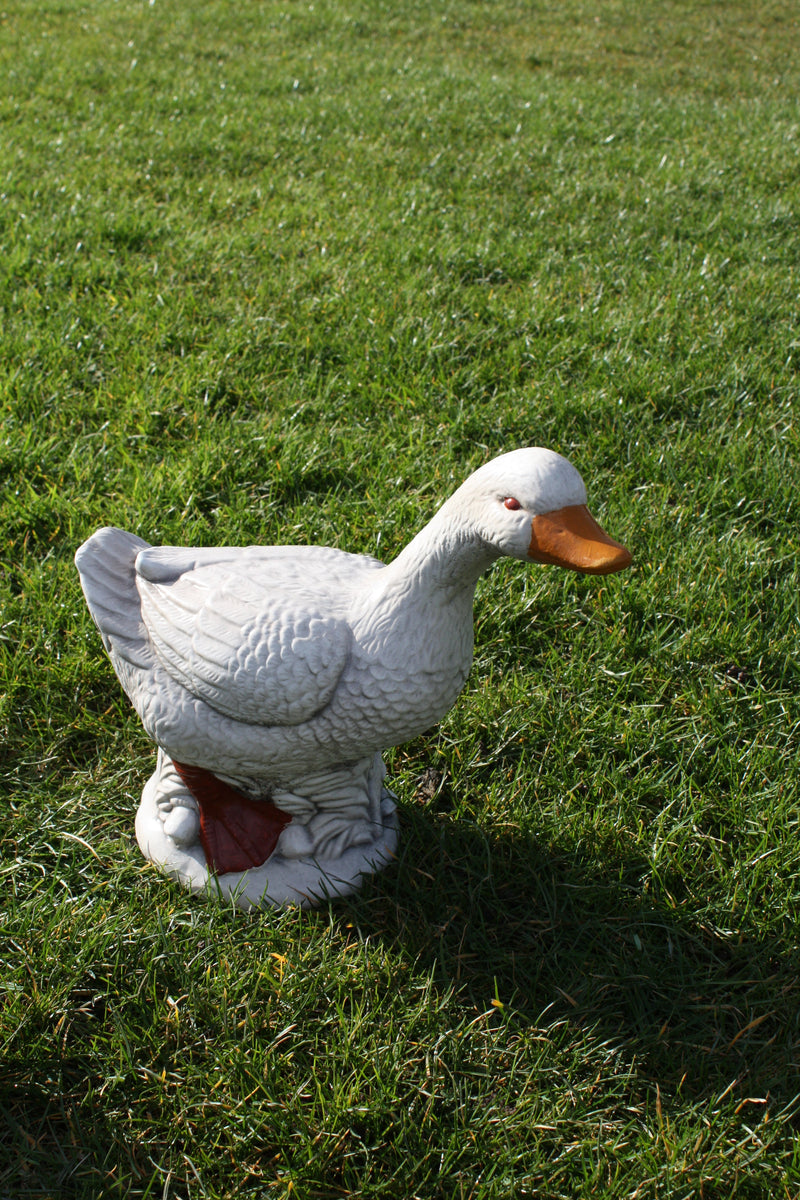 Duck Front – Bow Garden Centre