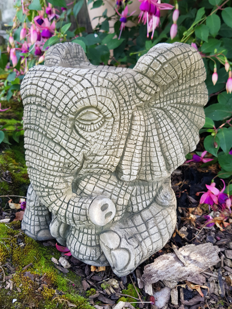 Elephant Pot – Bow Garden Centre
