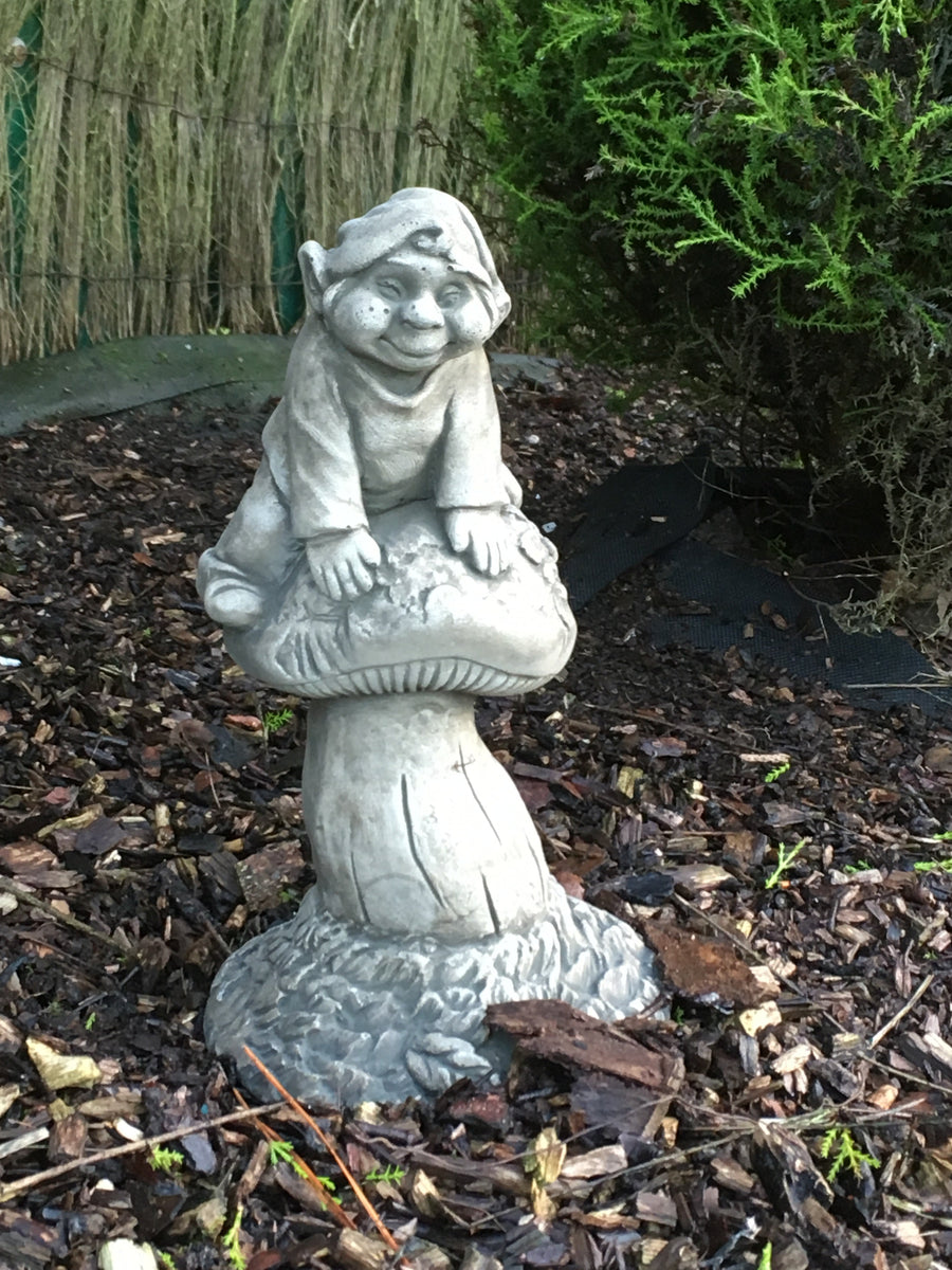 Jumping Jim – Bow Garden Centre