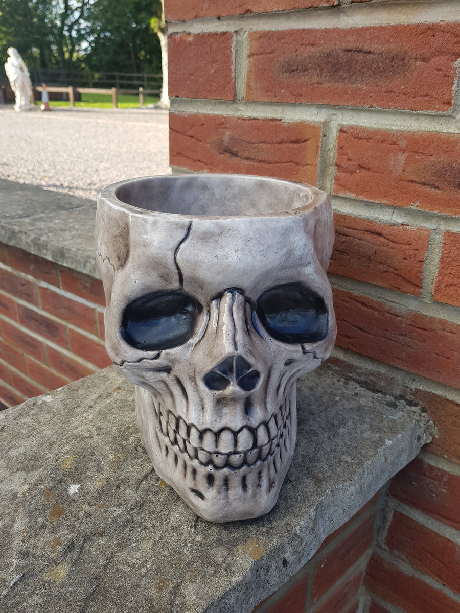 Skull Planter – Bow Garden Centre