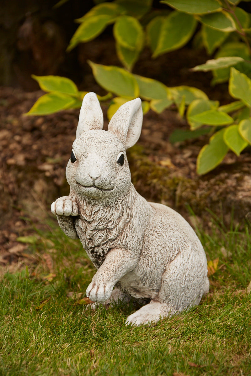 Standing Rabbit – Bow Garden Centre