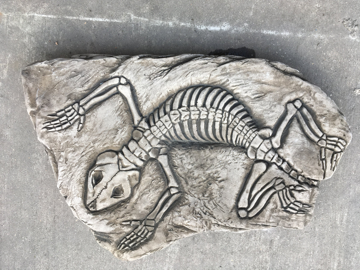 Fossilized Lizard – Bow Garden Centre