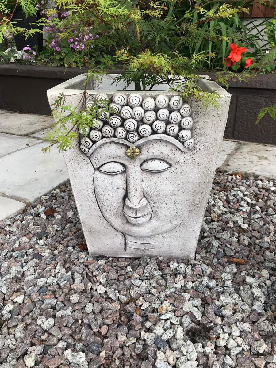 Large Buddha Pot – Bow Garden Centre